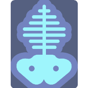 X Ray Vector SVG Icon - PNG Repo Free PNG Icons