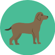 Dog Vector SVG Icon - PNG Repo Free PNG Icons