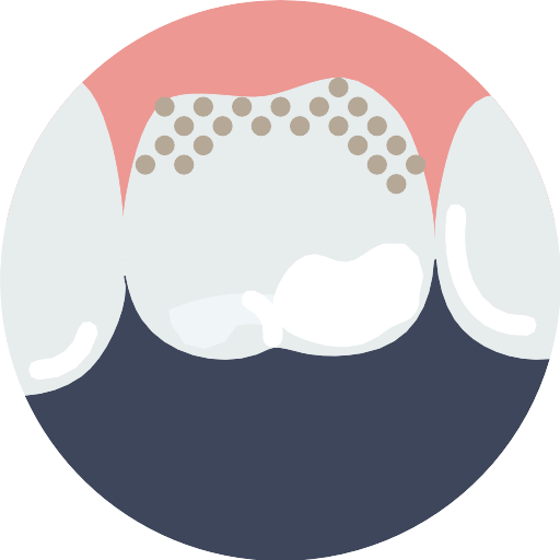 Molar Vector SVG Icon - PNG Repo Free PNG Icons