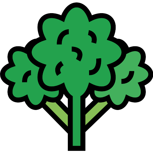 Broccoli Vector SVG Icon - PNG Repo Free PNG Icons