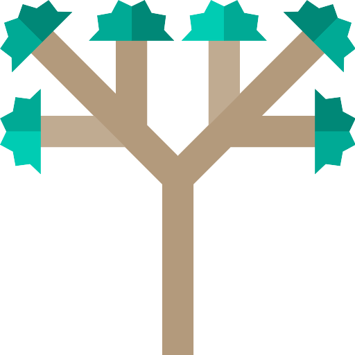 Joshua Tree Vector SVG Icon - PNG Repo Free PNG Icons