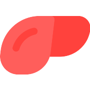 Liver Vector SVG Icon - PNG Repo Free PNG Icons