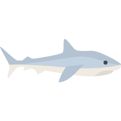 Shark Vector SVG Icon - PNG Repo Free PNG Icons