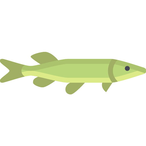 Pike Fish Vector SVG Icon - PNG Repo Free PNG Icons