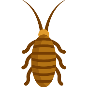 Cockroach Vector SVG Icon - PNG Repo Free PNG Icons
