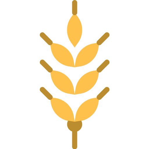Wheat Barley Vector SVG Icon - PNG Repo Free PNG Icons
