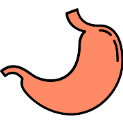 Stomach Vector SVG Icon - PNG Repo Free PNG Icons