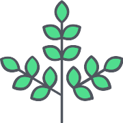 Branch Vector SVG Icon - PNG Repo Free PNG Icons