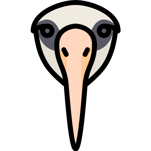 Albatross Vector SVG Icon - PNG Repo Free PNG Icons