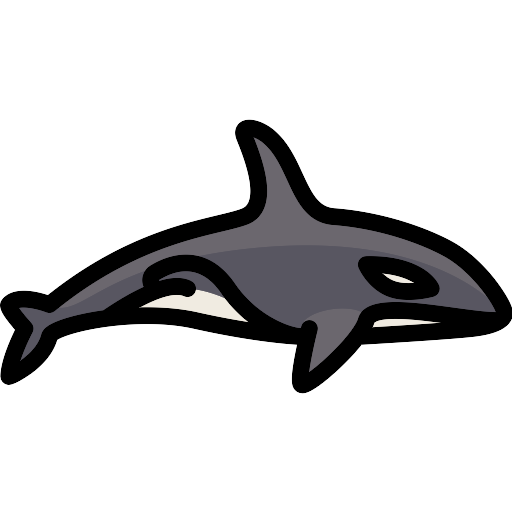 Orca Vector SVG Icon - PNG Repo Free PNG Icons
