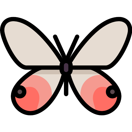 Butterfly Vector SVG Icon - PNG Repo Free PNG Icons