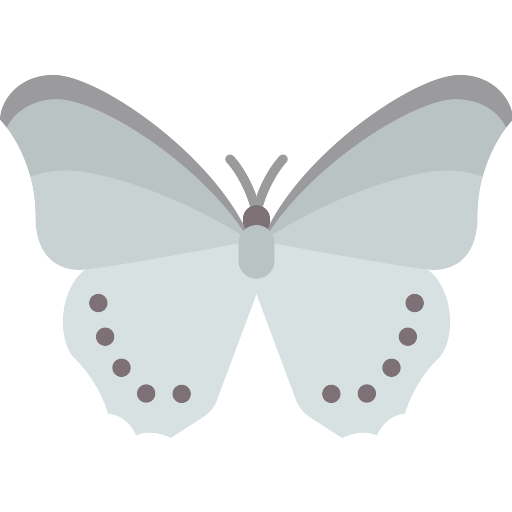 Butterfly Vector SVG Icon - PNG Repo Free PNG Icons