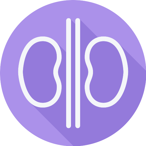 Kidneys Kidney Vector SVG Icon - PNG Repo Free PNG Icons