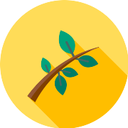 Branch Vector SVG Icon - PNG Repo Free PNG Icons