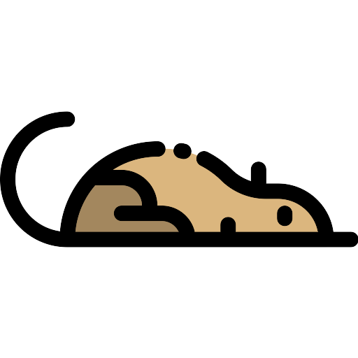 Shrew Vector SVG Icon - PNG Repo Free PNG Icons