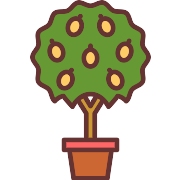 Lemon Tree Vector SVG Icon - PNG Repo Free PNG Icons