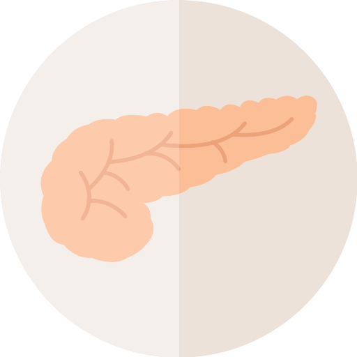 Pancreas Vector SVG Icon - PNG Repo Free PNG Icons