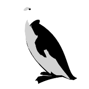 Awk Vector SVG Icon - PNG Repo Free PNG Icons