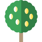 Lemon Tree Vector SVG Icon - PNG Repo Free PNG Icons