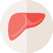 Liver Vector SVG Icon - PNG Repo Free PNG Icons