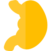 Stomach Vector SVG Icon - PNG Repo Free PNG Icons